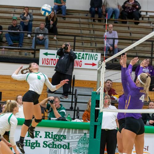 Govs volleyball fall to top ranked Arrows | Local Sports News ...