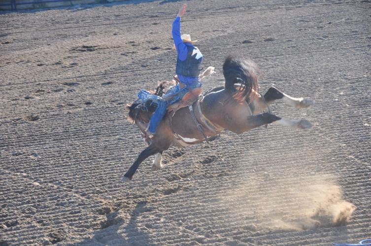 2015 Match of the Champions Saddle Bronc Riding show | Gallery ...