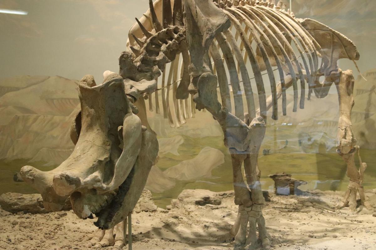 Great Mondays in (South Dakota) history | Local News Stories ...