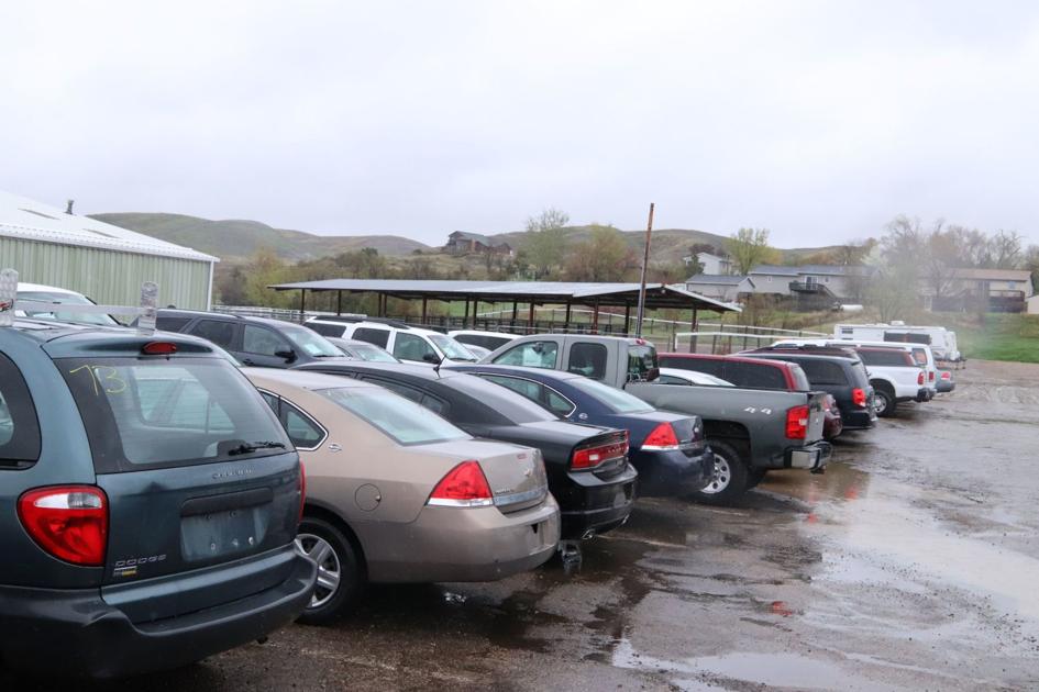 Cars line up for state surplus auction | Local News Stories ...