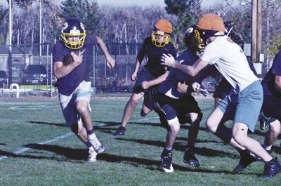 Buffaloes football travels southeast for tussle with Gorillas | Local ...