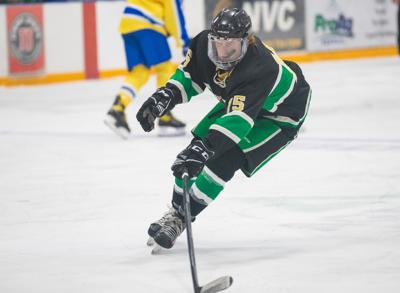 Home matchups highlight Capitals hockey weekend | Local Sports News ...