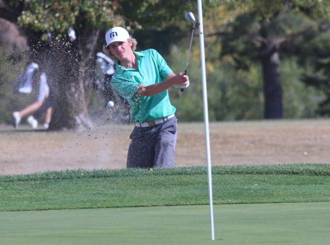 Golfers look back at 'successful' season, place 2nd at state | Local ...