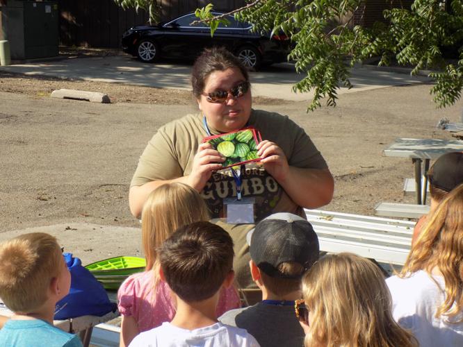 Summer camp sessions spark curiosity at the Discovery Center | News ...