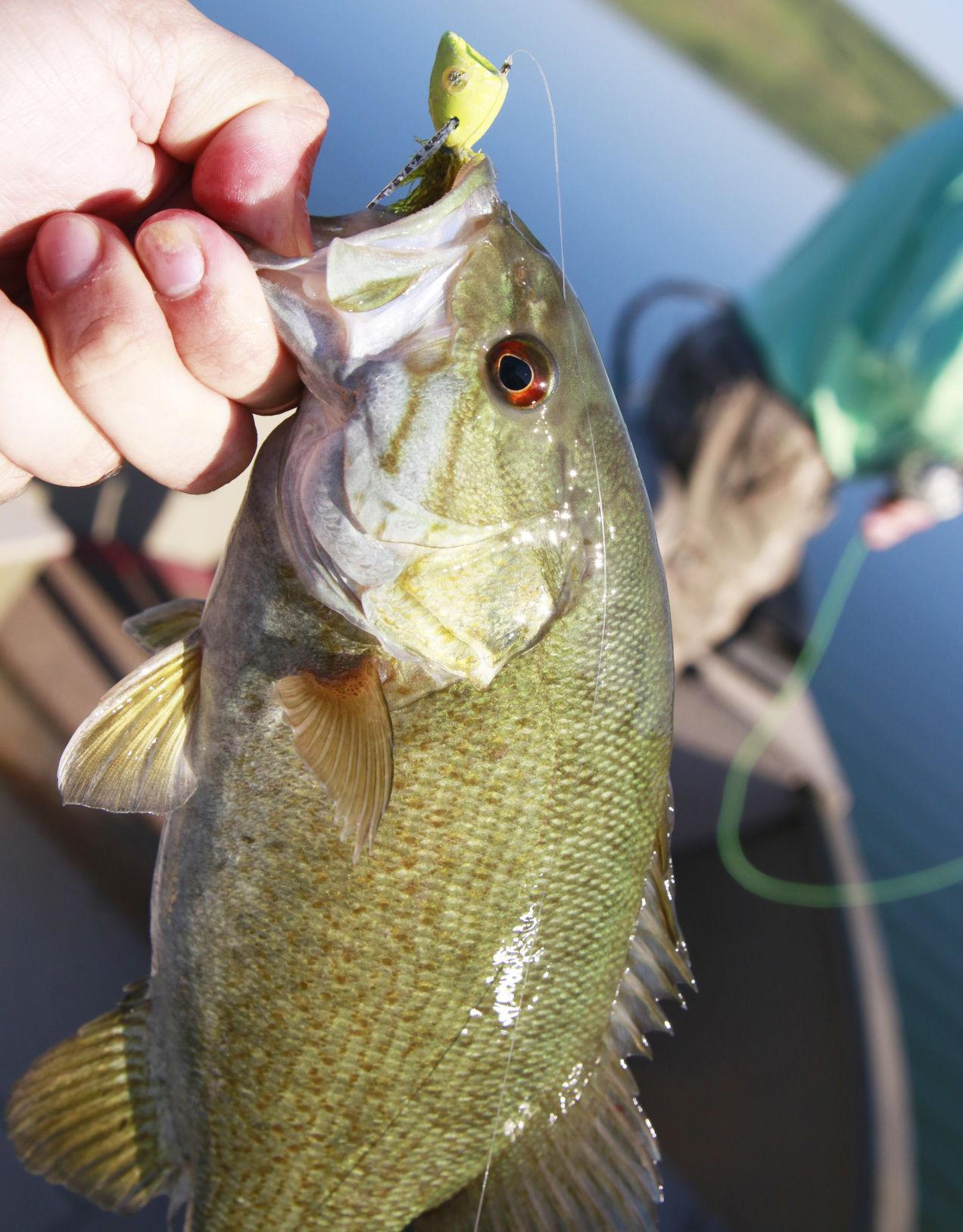 GFP, Milt Morris, Partner for New Public Fishing Pond | News ...