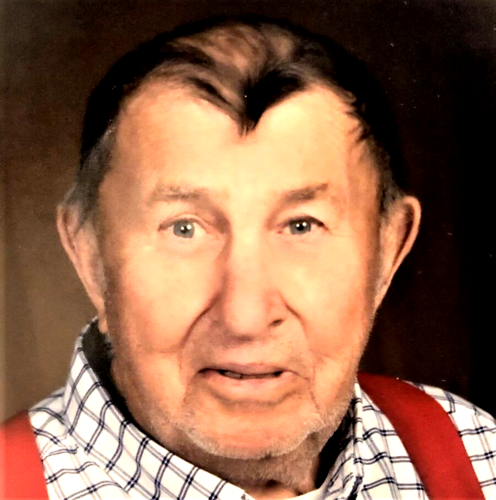 Albert “Al” Meier, 86 | Archives | capjournal.com