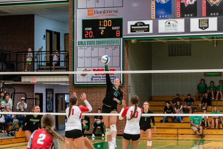 Govs volleyball earns two wins in weekend matchups | Local Sports News ...