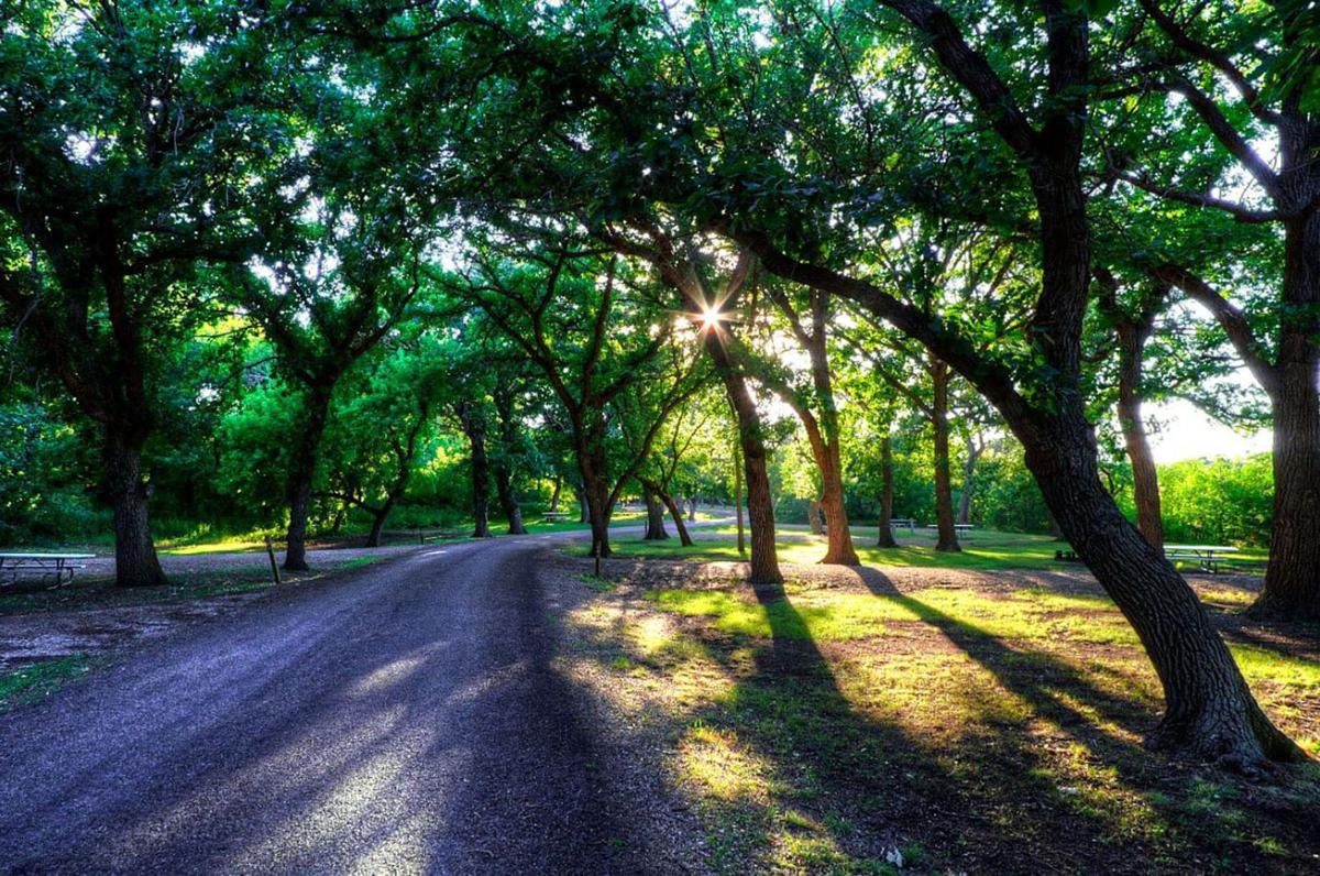 The land | Gallery | capjournal.com