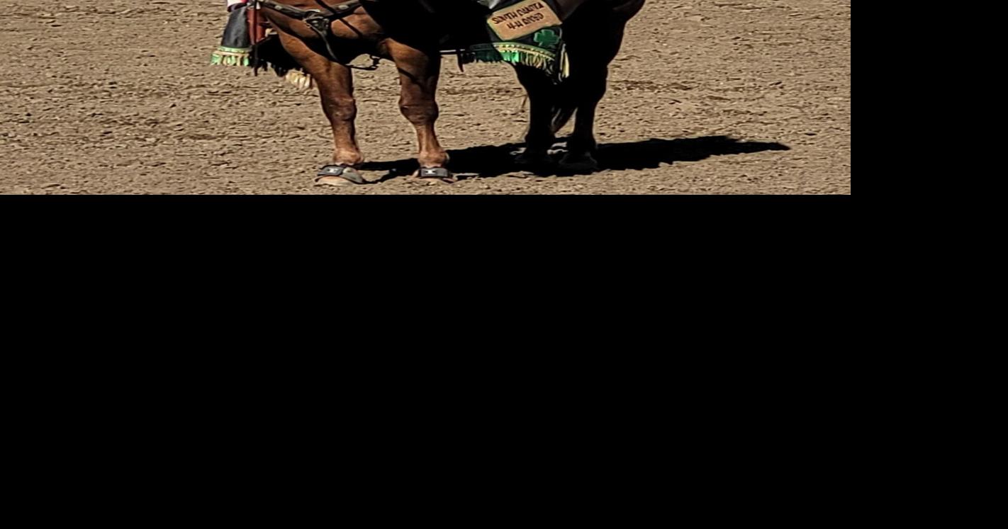 Annual 4-H Rodeo Finals promotes good values, great rodeo | News ...