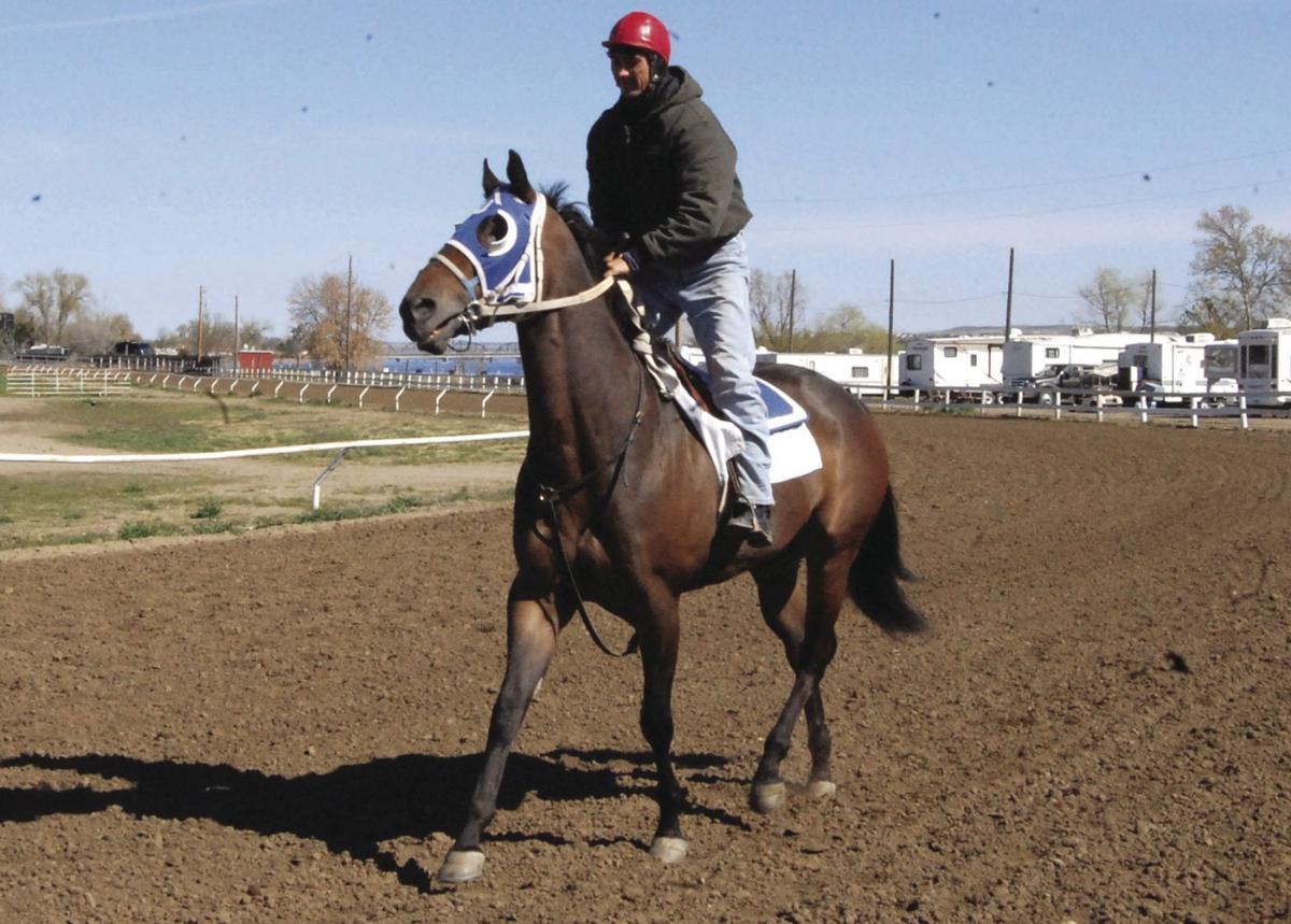 Racetrack family: Bob and Shilo Johnson like ‘em fast | Local News ...