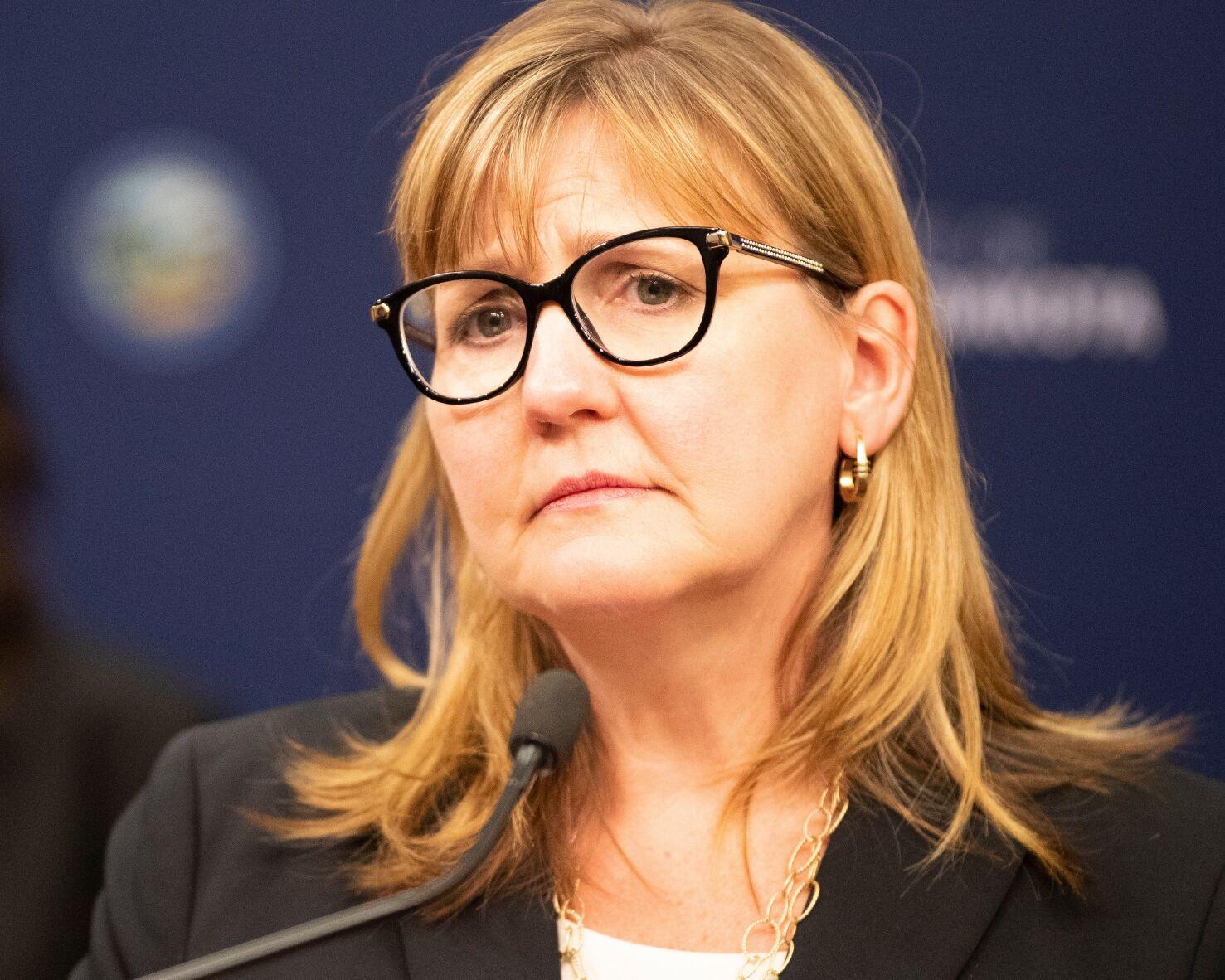 State health secretary Kim Malsam-Rysdon leaving for private sector ...