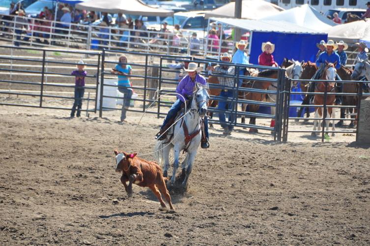 46th Annual Central SD 4-H Rodeo | Gallery | capjournal.com