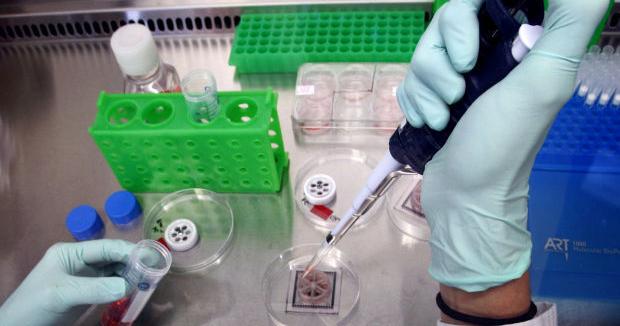 Madison biotech firm Cellular Dynamics launches new business focused on ...