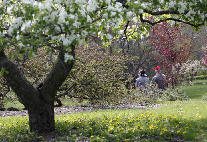 Photos: UW Arboretum flowers, trees in full bloom | Local News ...