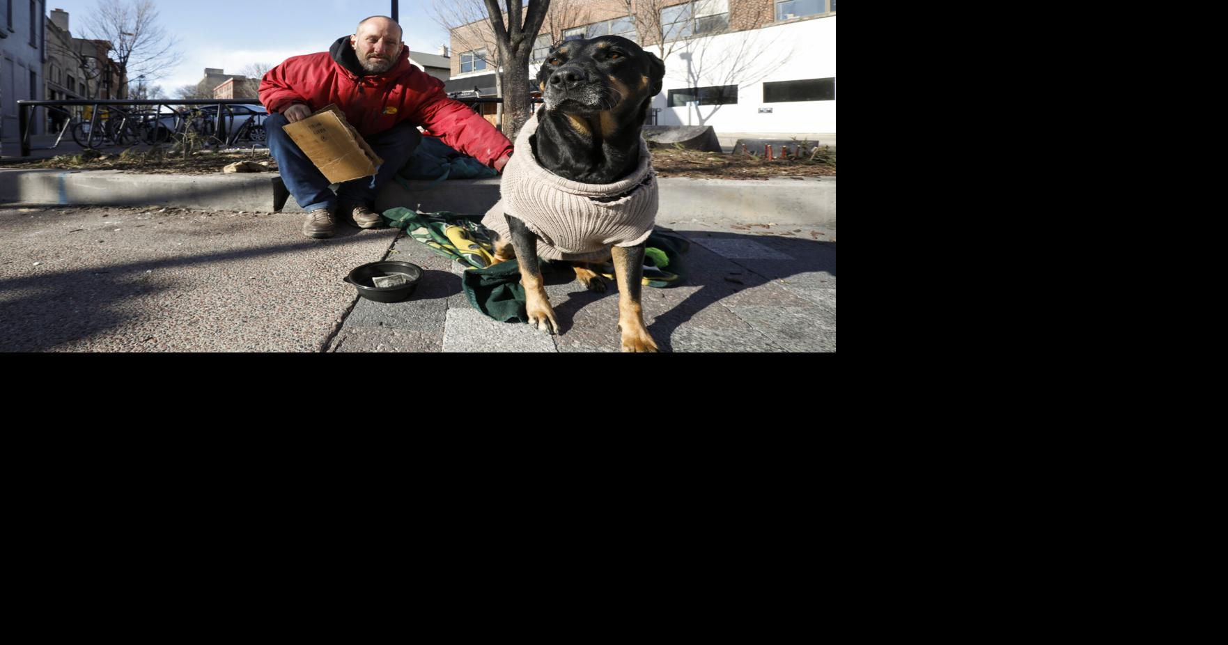 Seeking shelter: Service gaps remain in Madison's help for homeless ...