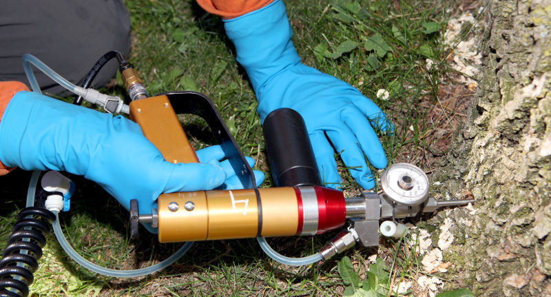 Photos: Ash tree chemical injection demonstration | Local News ...