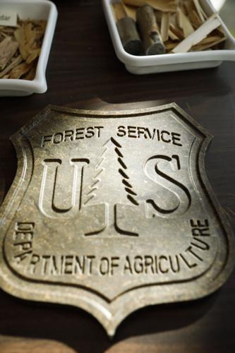 PHOTOS: Wood you like to tour the Forest Products Laboratory? | News ...