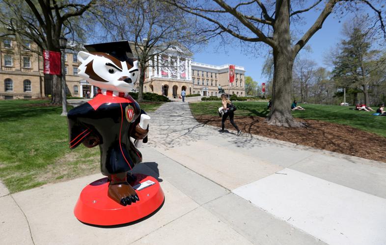 Photos: Bucky on Parade | Local News | captimes.com