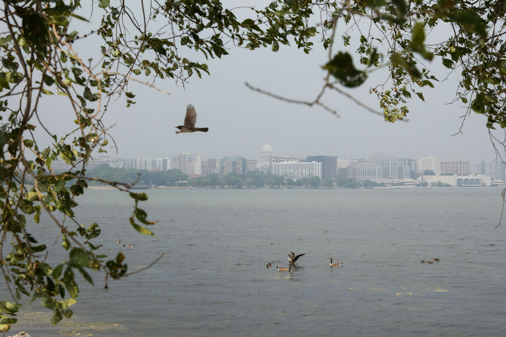 Bad air quality days in Dane County this year fall shy of record ...