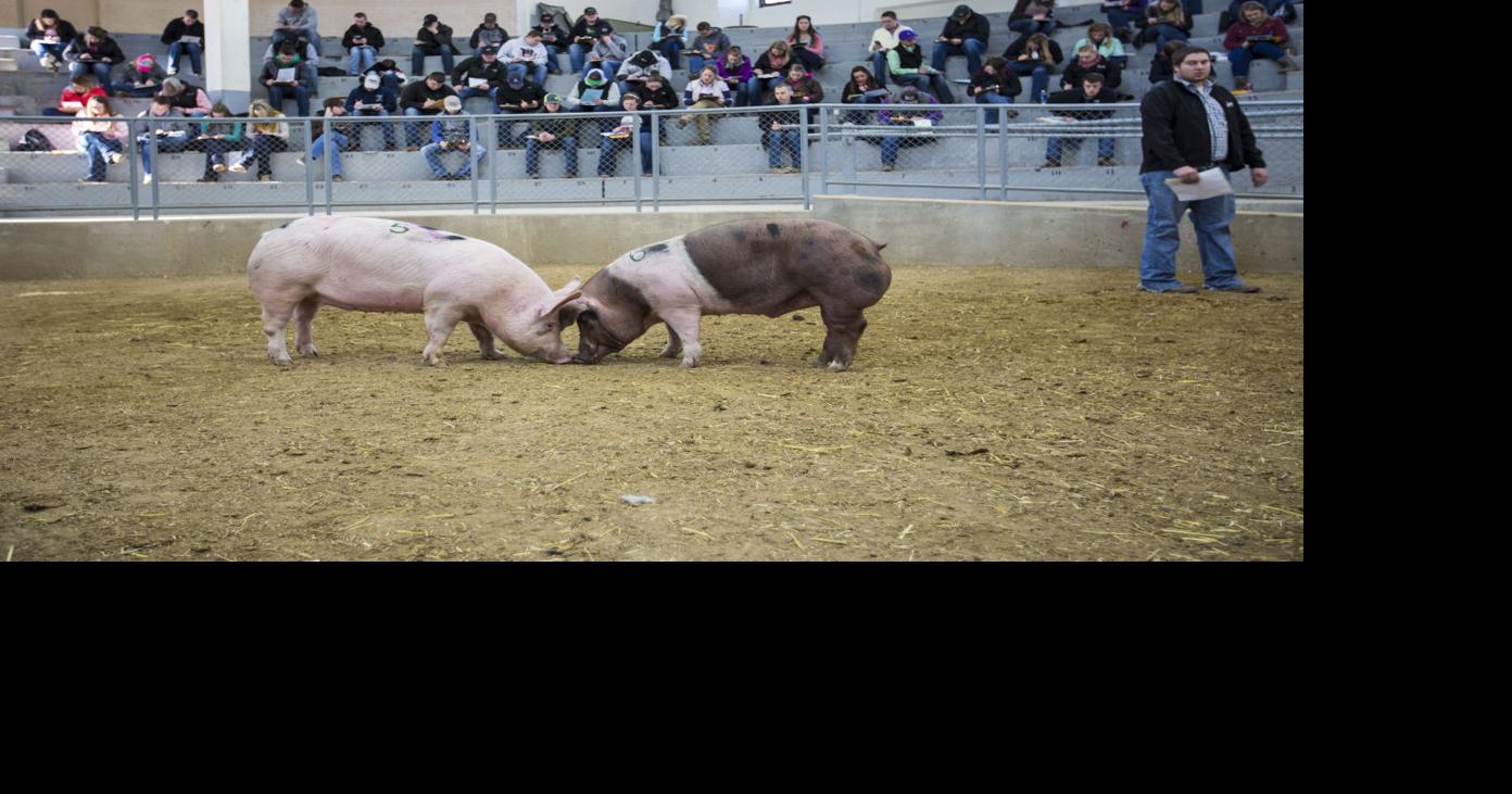 New UW-Madison Meat Science Lab designed to meet evolving needs of ...