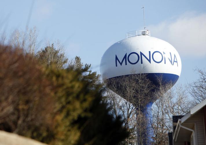 Photos: Variety among Madison-area water towers | Local News | captimes.com
