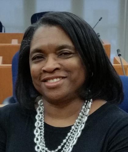 Cap Times Election Q&A: Madison City Council District 14 | Politics ...