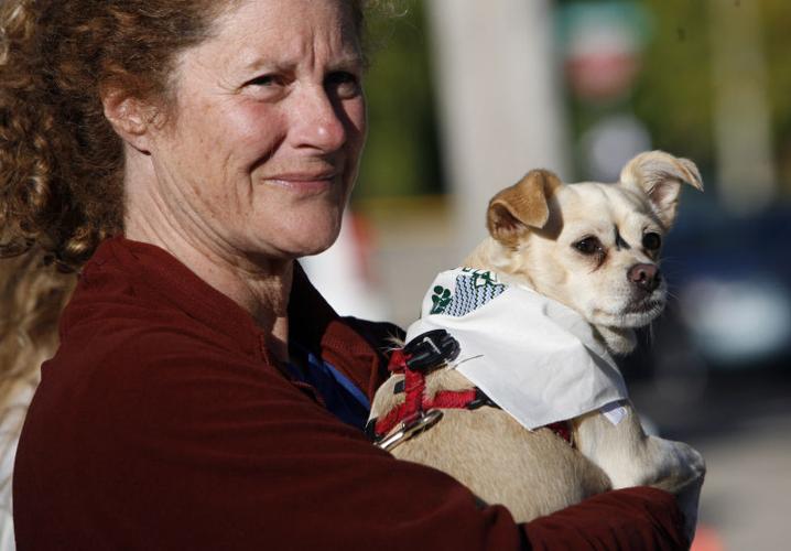 Photos: Dogtoberfest's Six-Legged Race | Local News | captimes.com