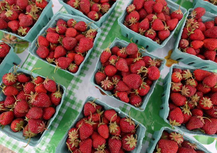 11 food festivals around Madison this summer | Food & Drink | captimes.com
