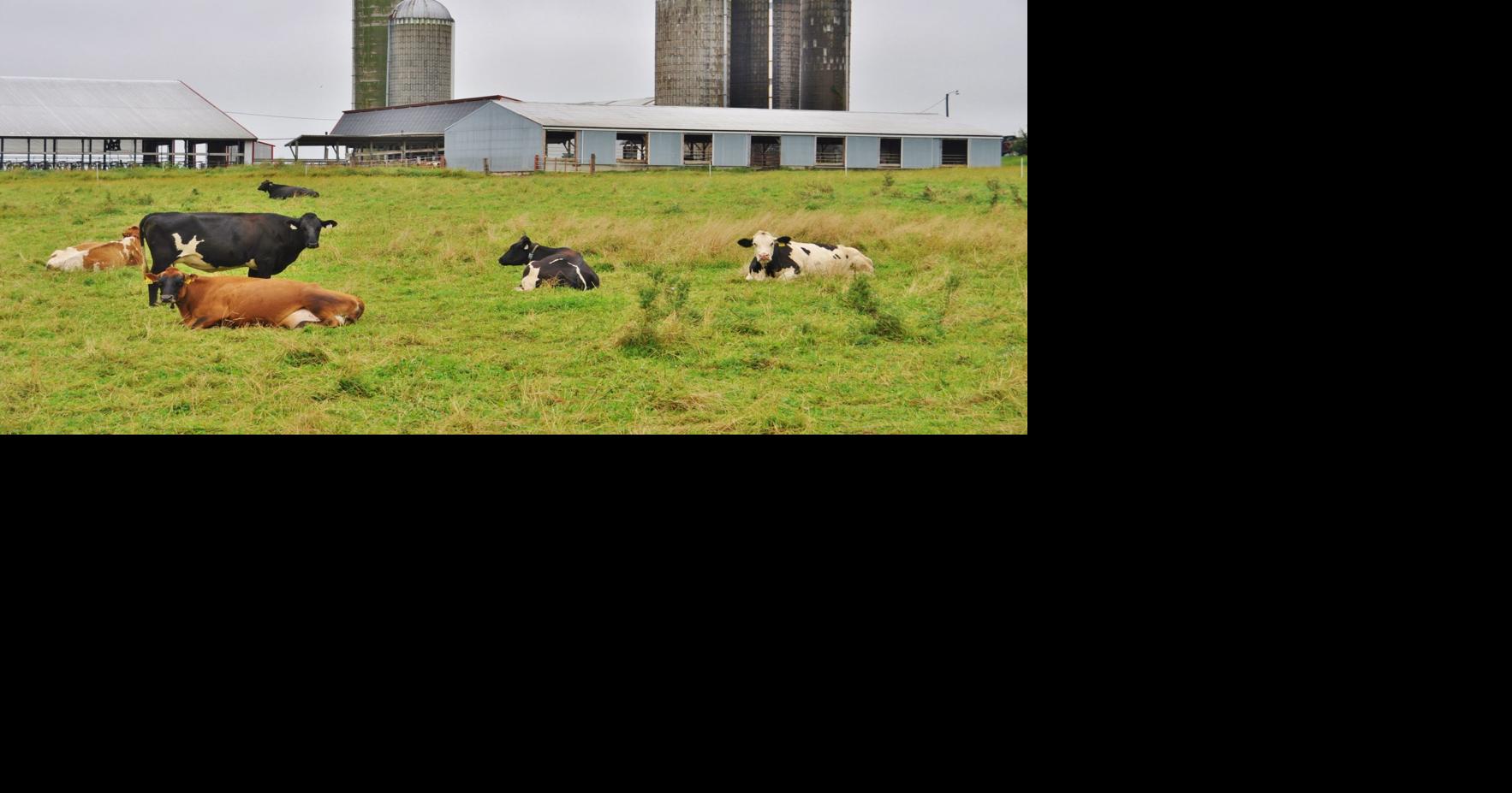 Sen. Patty Schachtner: Farming is our future | Columns | captimes.com