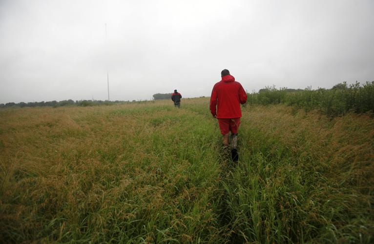 Photos: Checking fox and coyote traps with the UW Urban Canid Project ...