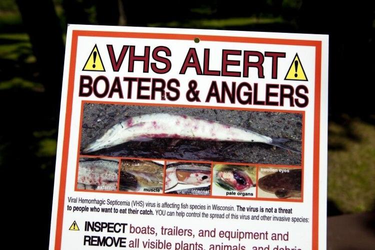 Lake invaders: Experts fear numerous laws won't be enough to stop ...