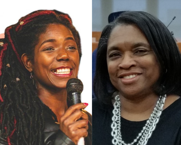 Cap Times Election Q&A: Madison City Council District 14 | Politics ...