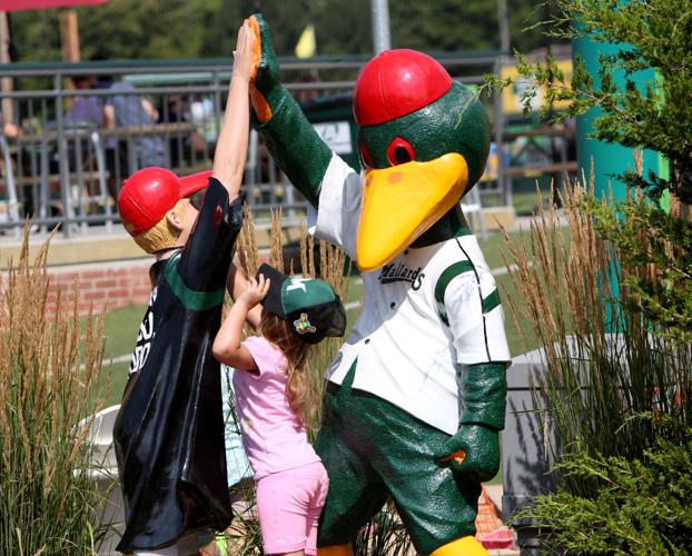 Photos: An afternoon at the Madison Mallards' Duck Pond | Local News ...