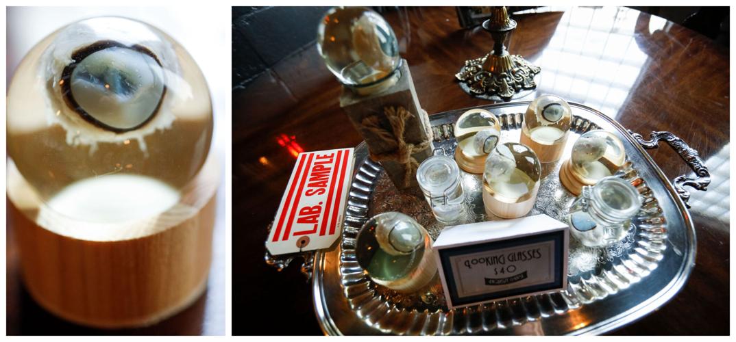 PHOTOS: Tour Exquisite Corpse Taxidermy | News | captimes.com