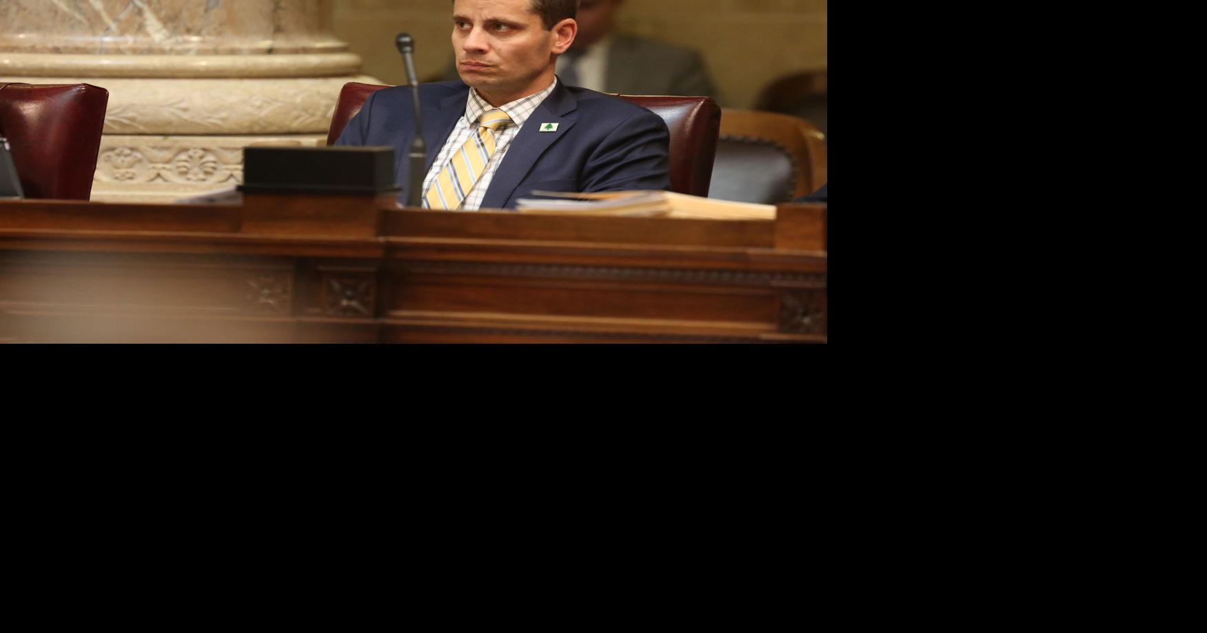 Sen. Chris Kapenga says 'Tesla provision' didn't secure his support of ...