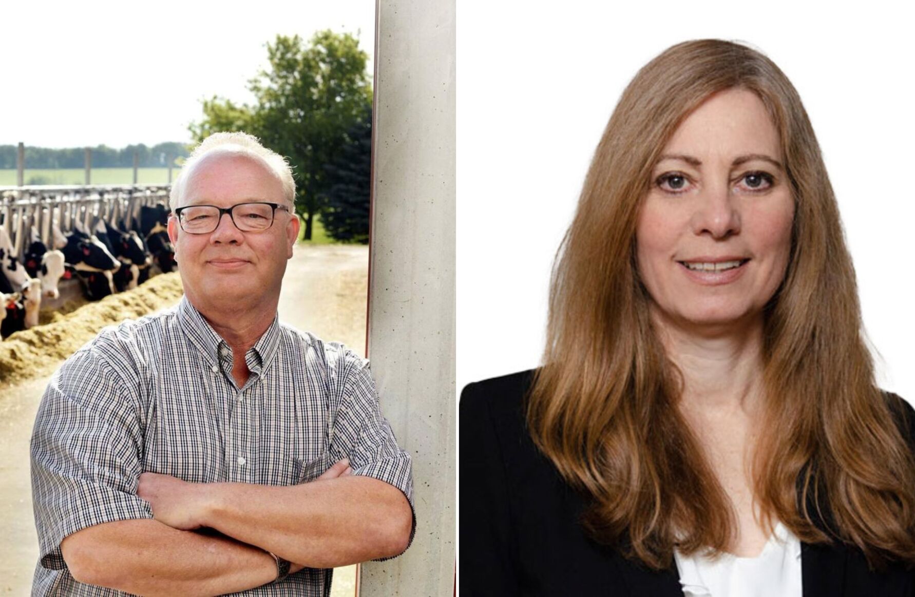 Todd Novak faces Elizabeth Grabe in Wisconsin Assembly race | Elections ...