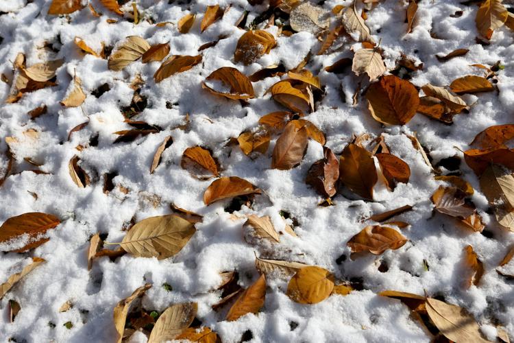 Photos: A view of Madison's first snowfall of the season in the UW ...