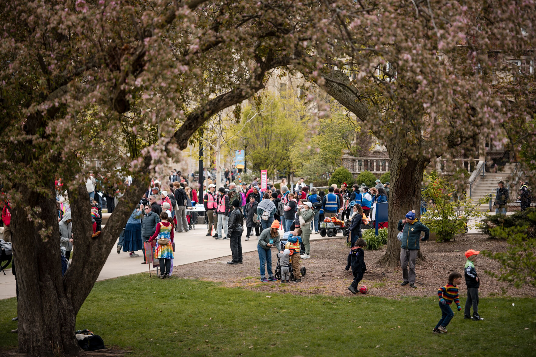 May Day protest draws thousands to downtown Madison | News | captimes.com