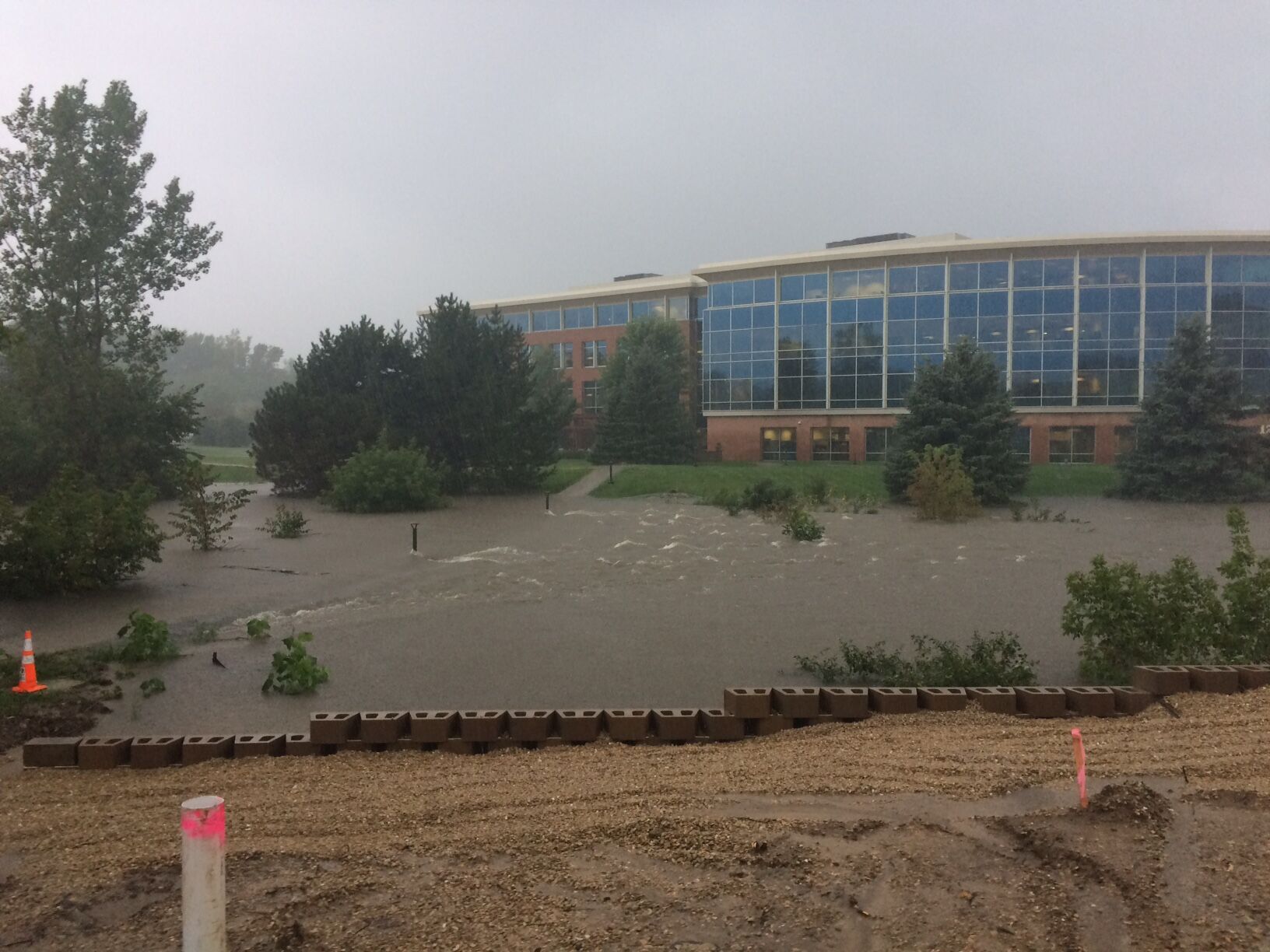Madison project to prevent flooding one pipe and oak tree at a time ...