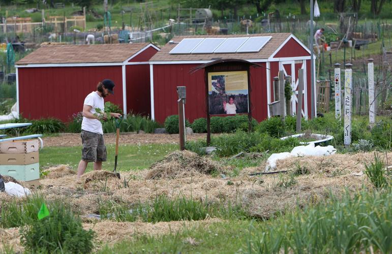 Photos: Troy Gardens | Local News | captimes.com