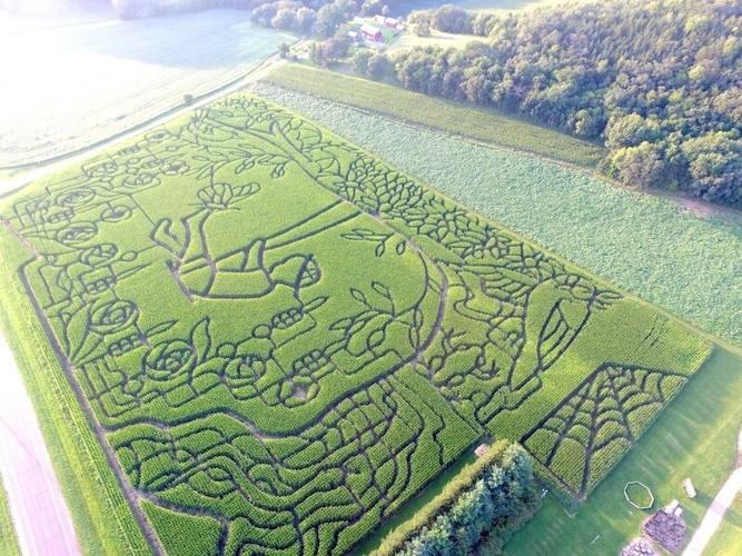 Things to do in Madison: Vegan Fest, Seattle folk rock, corn mazes and ...