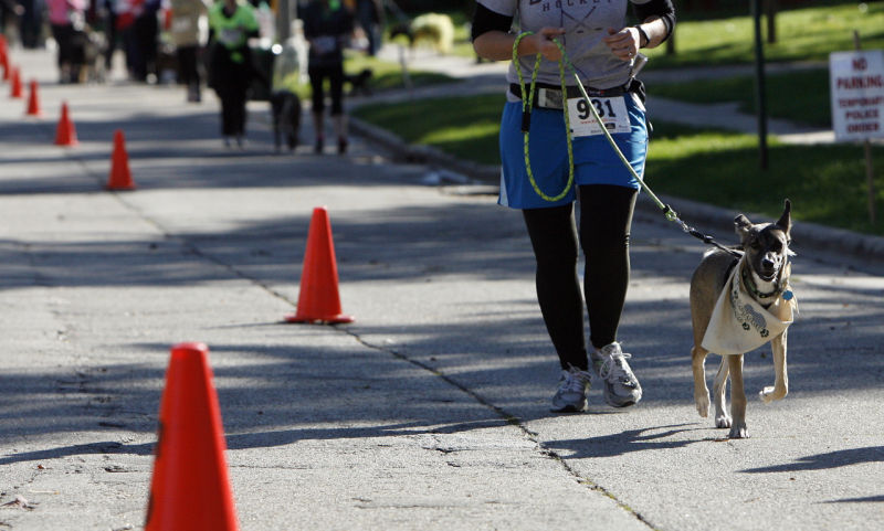 Photos: Dogtoberfest's Six-Legged Race | Local News | captimes.com