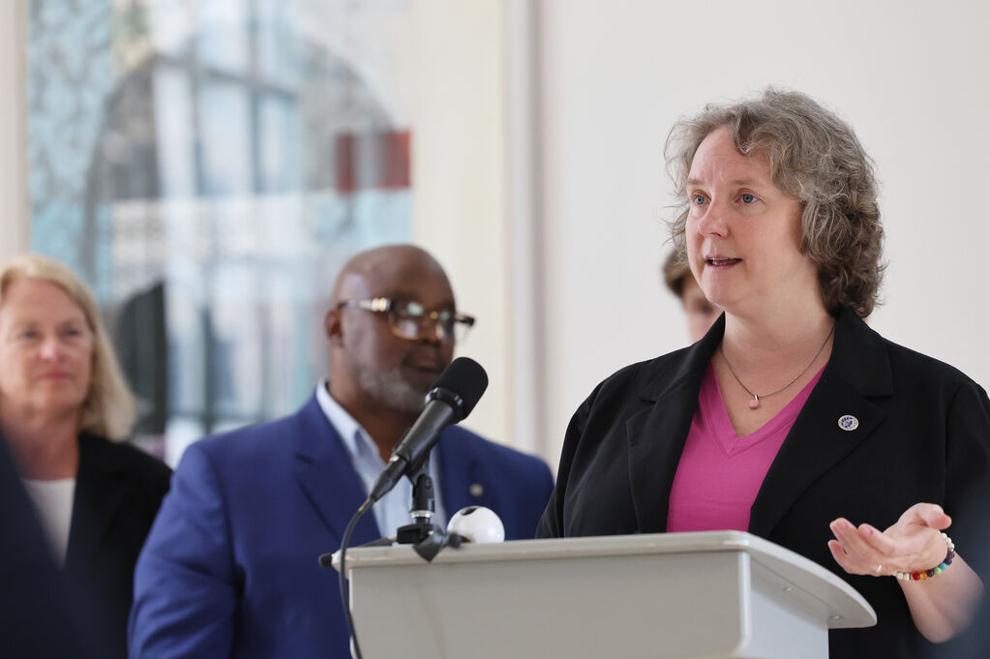 Rhodes-Conway unveils her latest housing density edict | Paul Fanlund ...