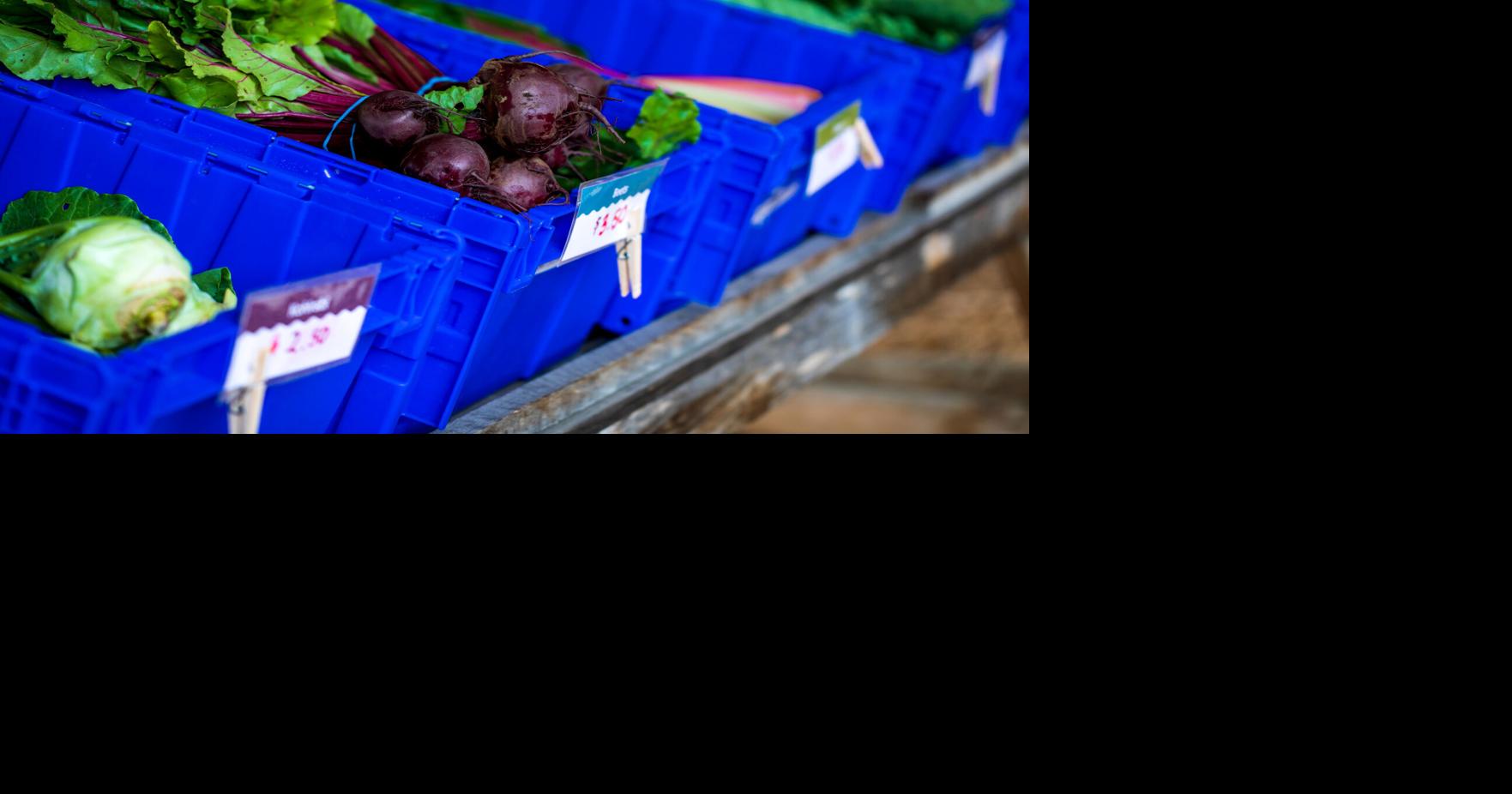 Madison’s Troy Farm halts CSA program, citing financial pressure | Food ...