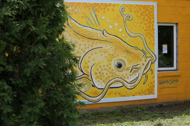 Photos: Catfish Mural debuts behind Mickey's Tavern | Local News ...