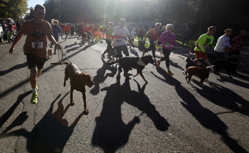 Photos: Dogtoberfest's Six-Legged Race | Local News | captimes.com