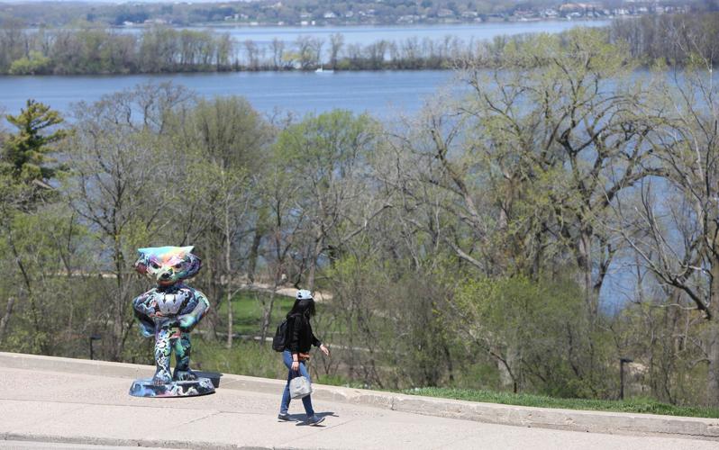 Photos: Bucky on Parade | Local News | captimes.com