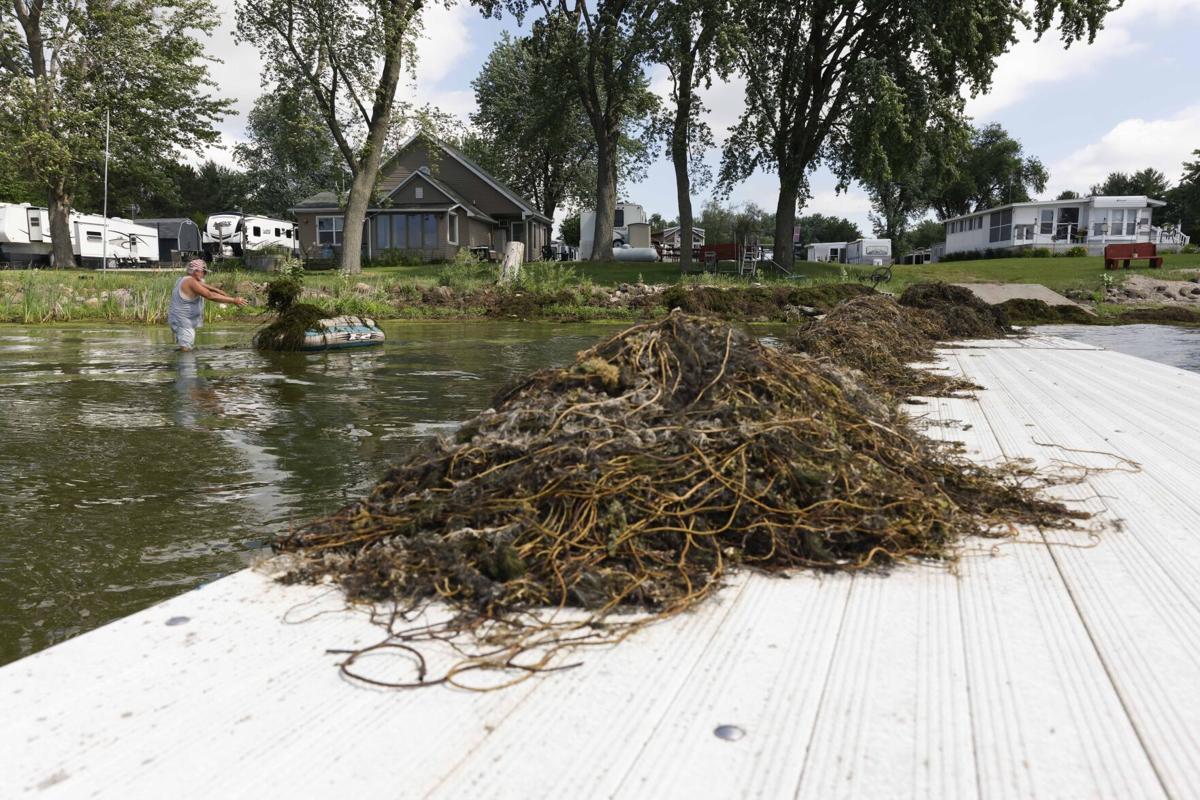 Wisconsin lakes struggling against invasive species | News | captimes.com