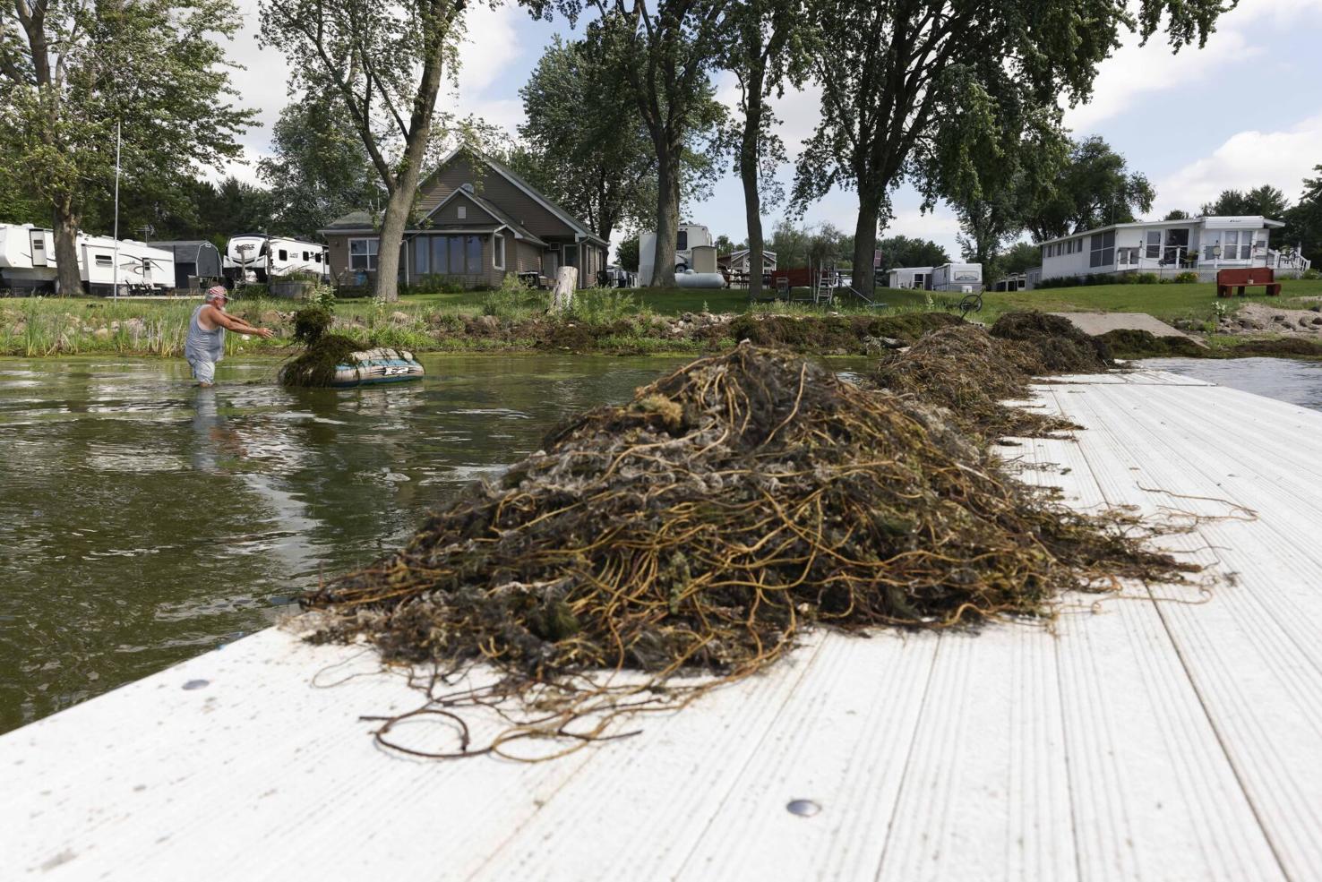 Wisconsin lakes struggling against invasive species | News | captimes.com