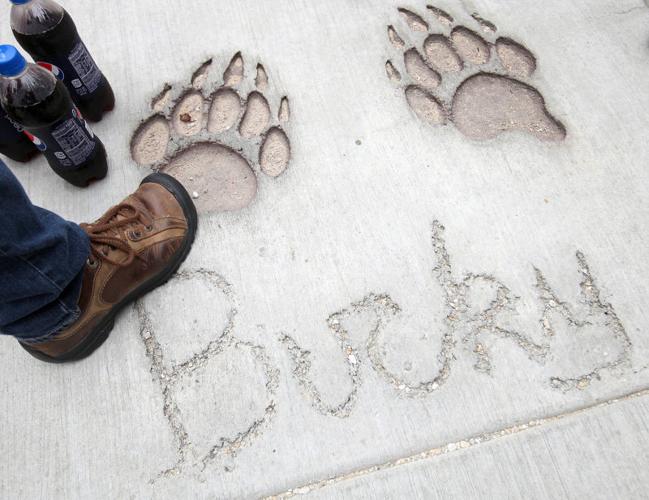 Photos: Badger Bash gets fans amped up | Local News | captimes.com